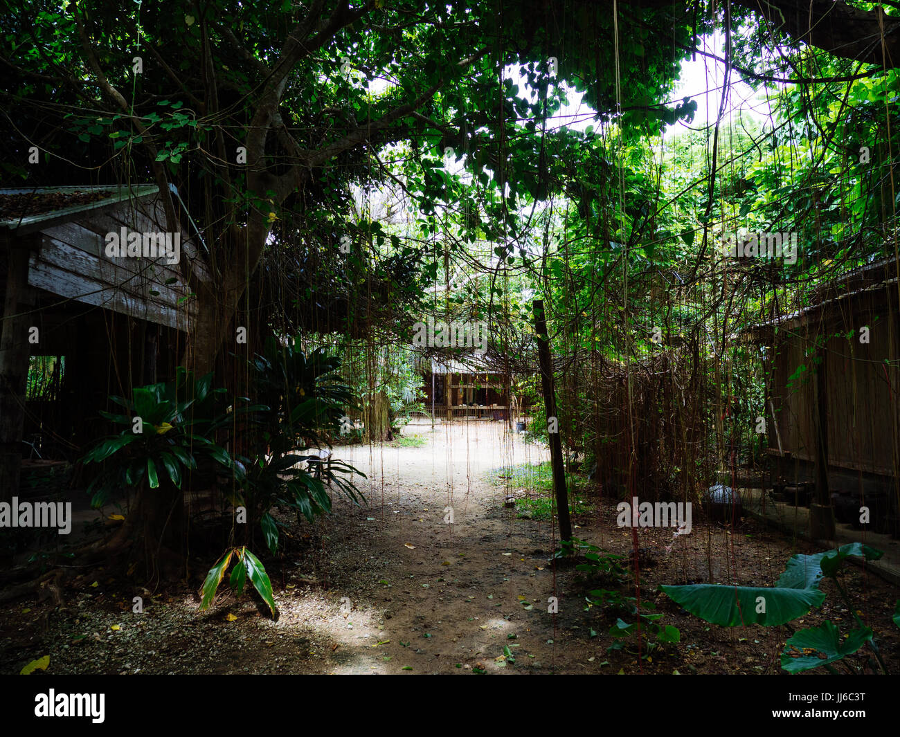 House in Isolated Island Stock Photo - Alamy