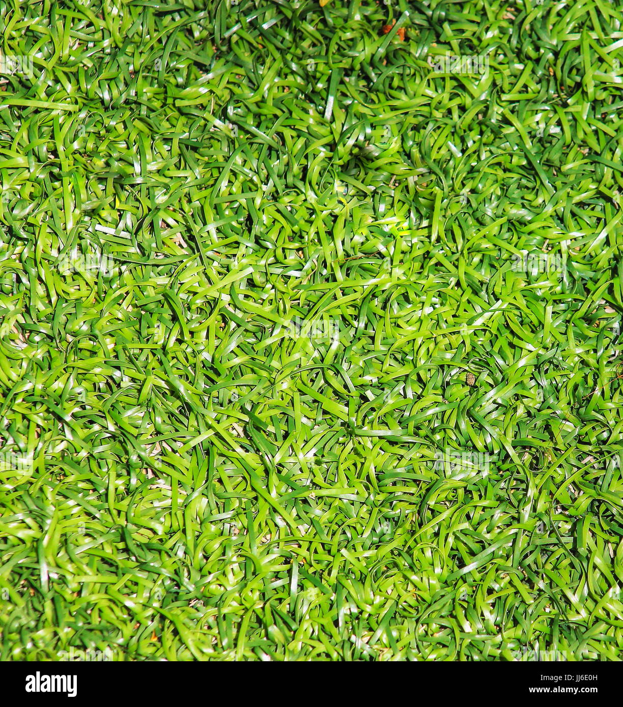 A Close up image of Artificial Grass Stock Photo - Alamy