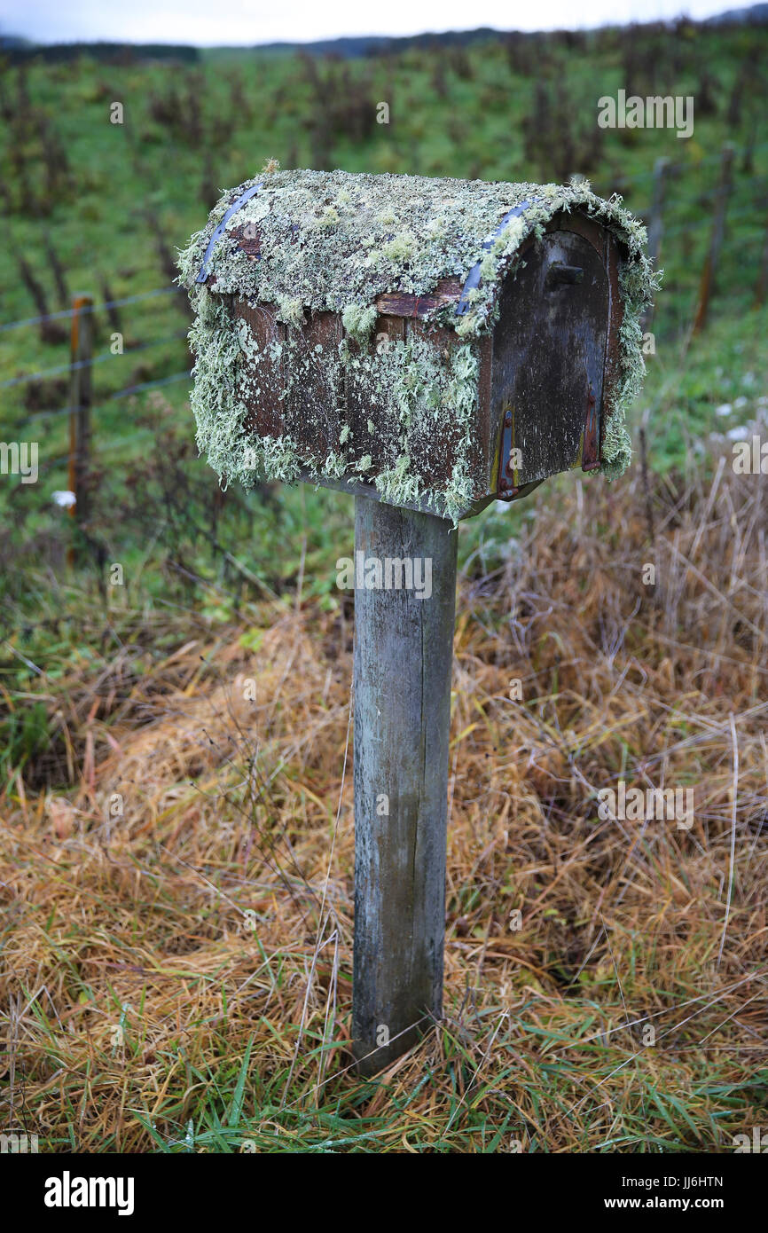 Moss covered bird box Nr Rotorua, New Zealand Stock Photo - Alamy