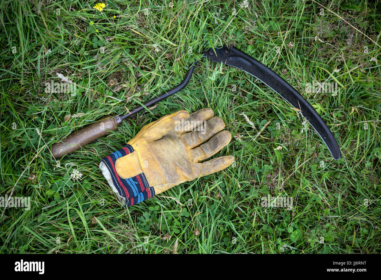 Sickle Harvesting High Resolution Stock Photography and Images - Alamy