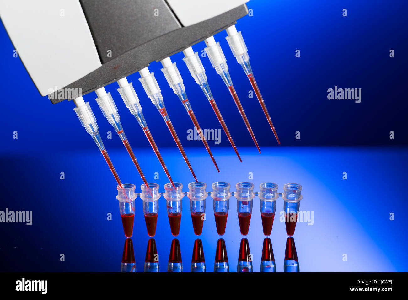 Multi Pipette and 96 well plate Stock Photo - Alamy