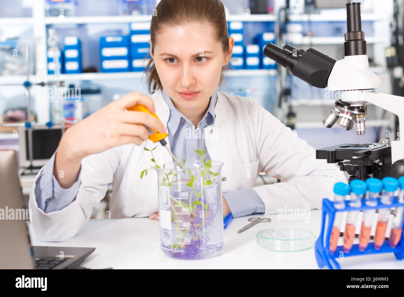 experiment with green plant in laboratory Stock Photo - Alamy