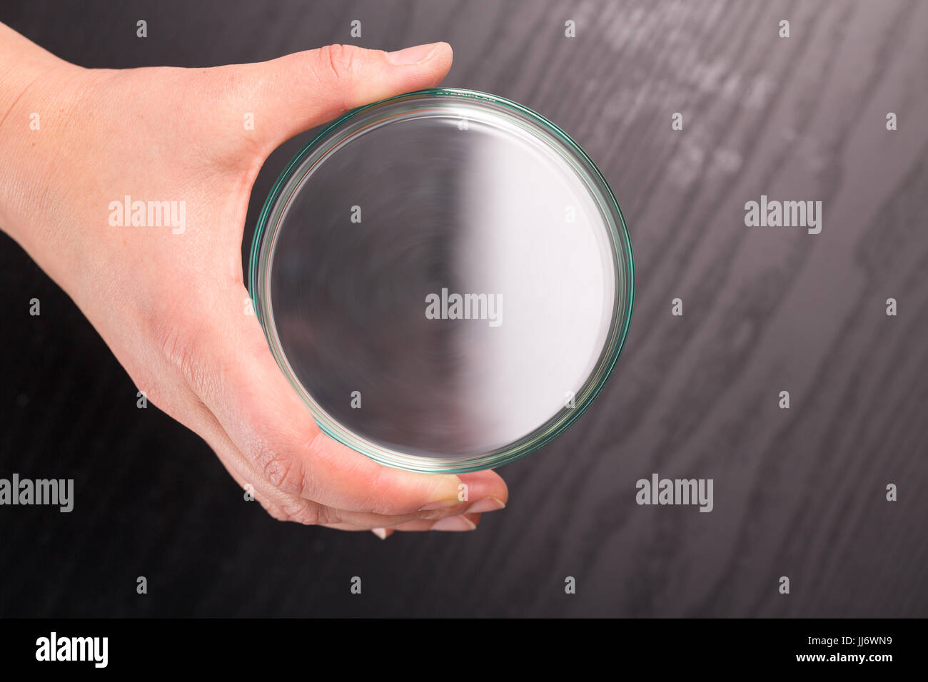 Empty petri dish Stock Photo - Alamy