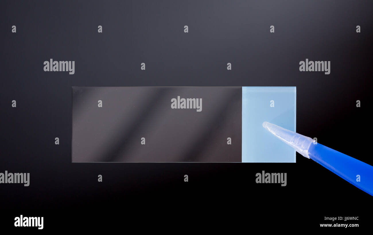 Natural sponge microscope hi-res stock photography and images - Alamy