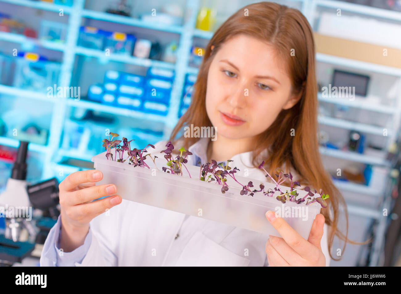 Women work in food quality inspection laboratory Stock Photo - Alamy