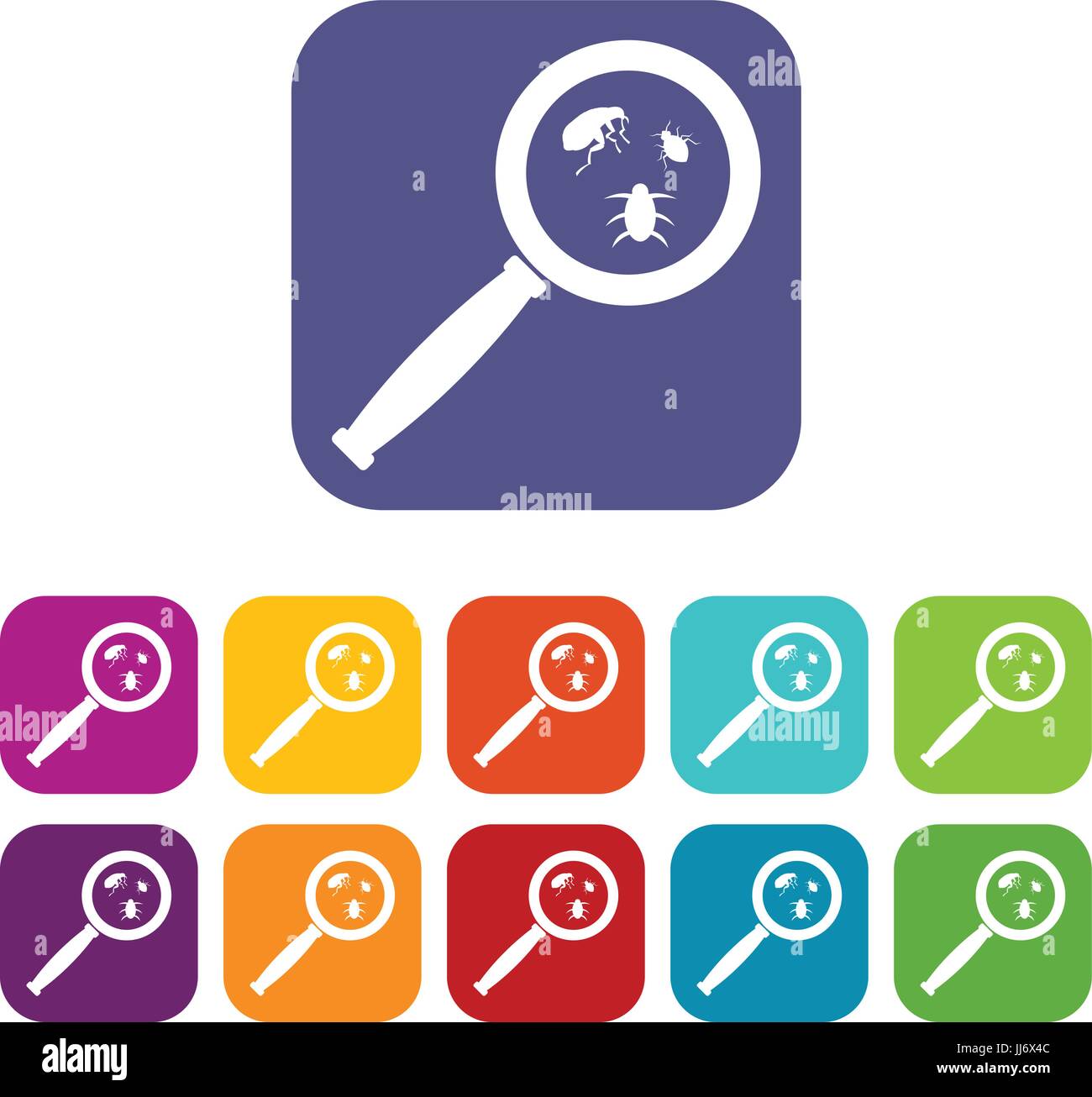 Magnifier and insects icons set Stock Vector Image & Art - Alamy