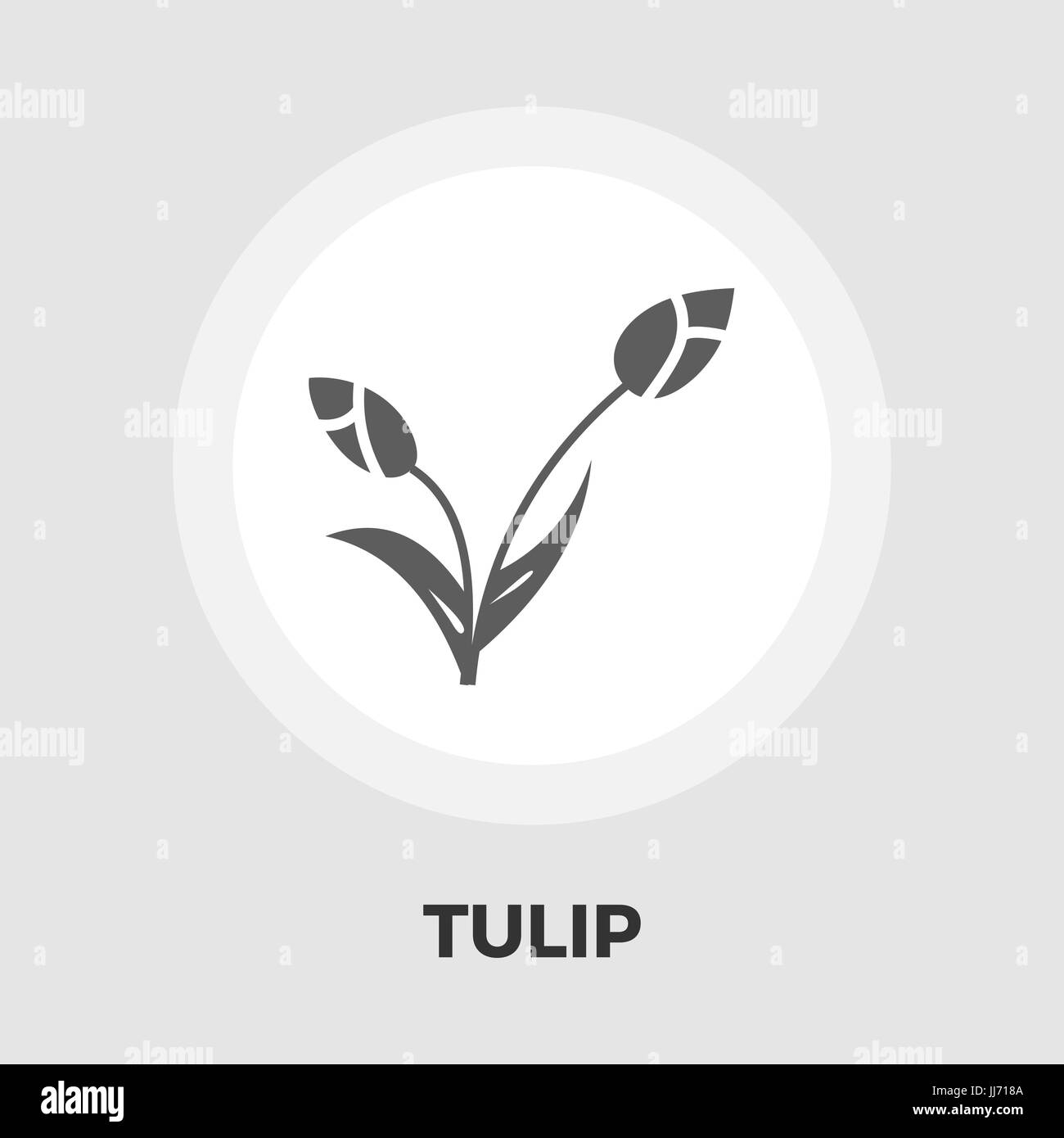 Tulip icon vector. Flat icon isolated on the white background. Editable ...