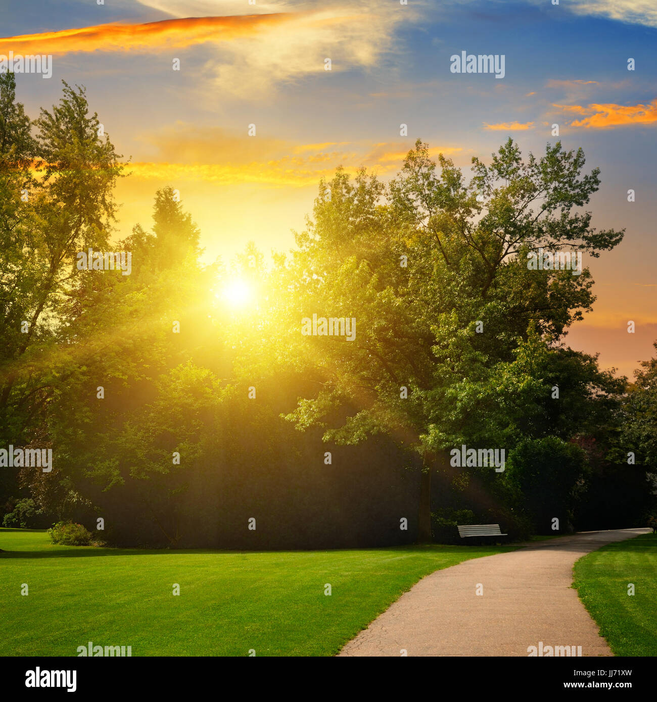 beautiful summer park and sunset Stock Photo - Alamy