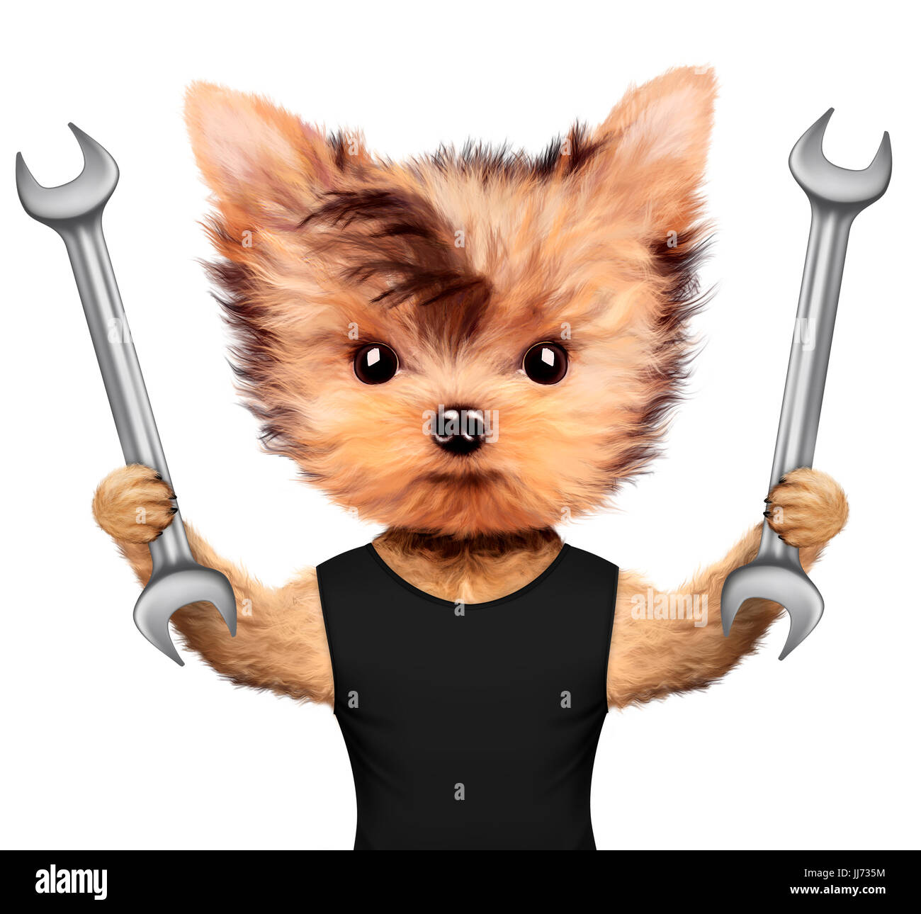 Funny handyman dog with two wrenches Stock Photo - Alamy