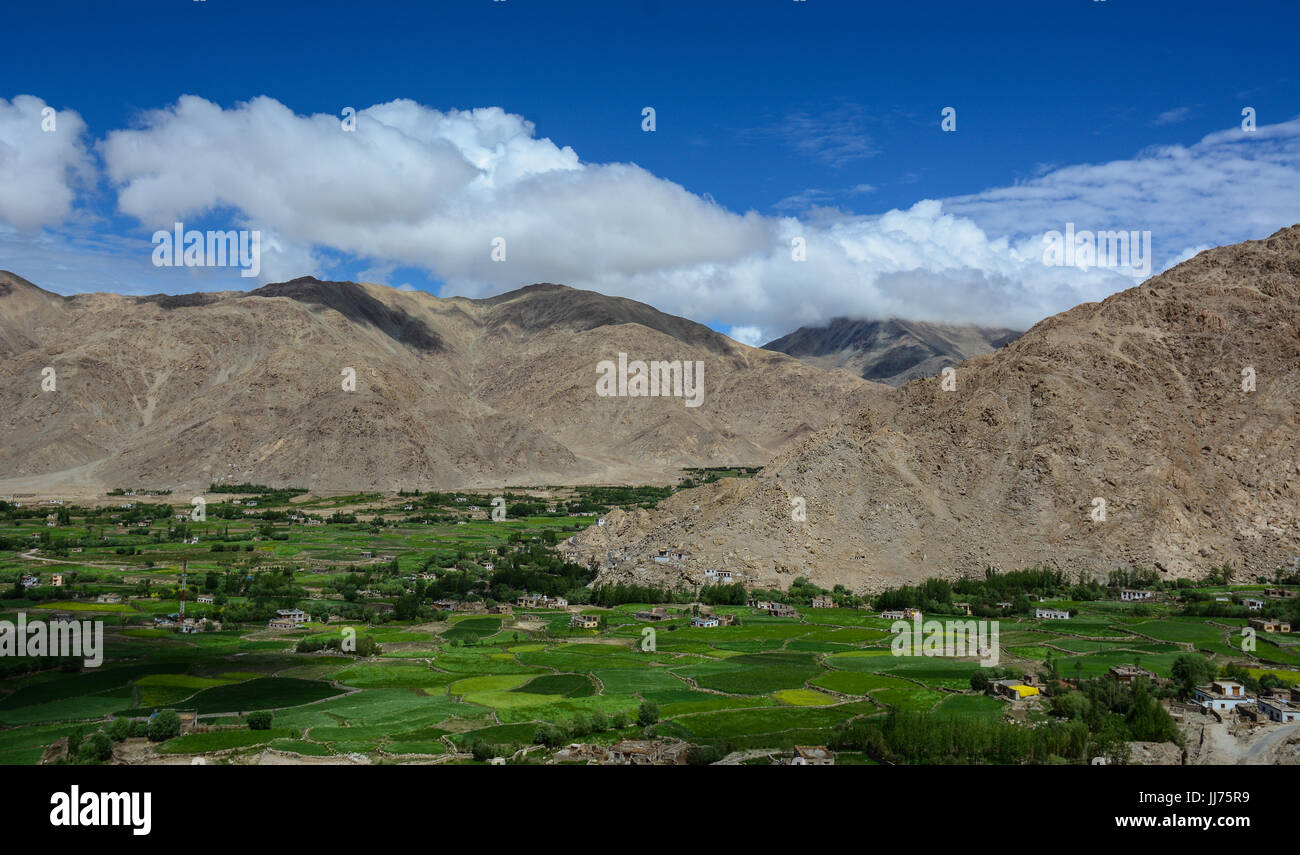 Green valley under blue sky at sunny day in Ladakh, India. Ladakh is ...