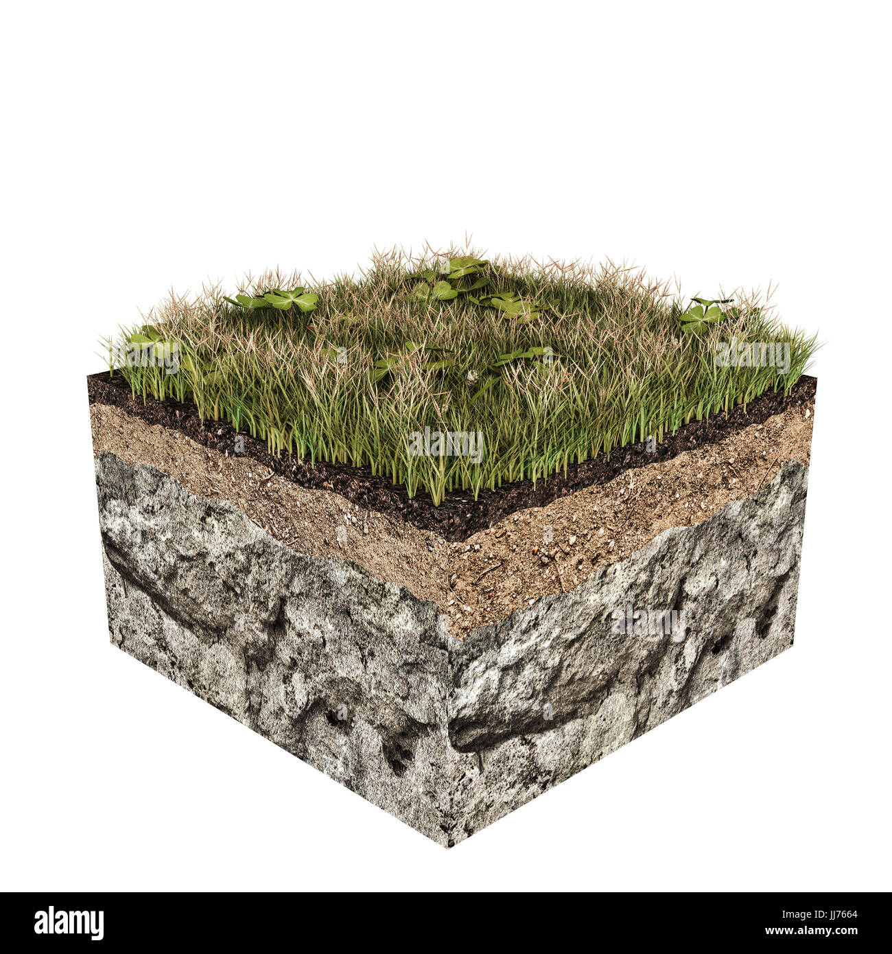 3d illustration of a soil slice isolated on white background Stock Photo - Alamy