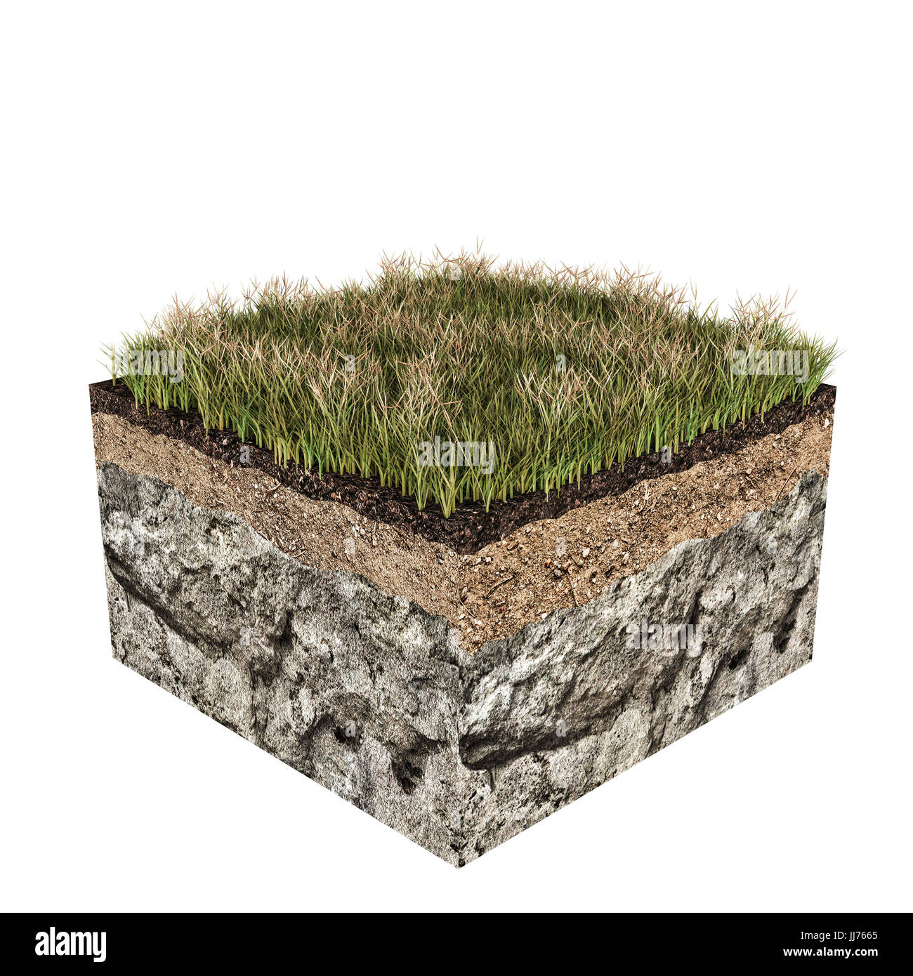 3d illustration of a soil slice isolated on white background Stock ...