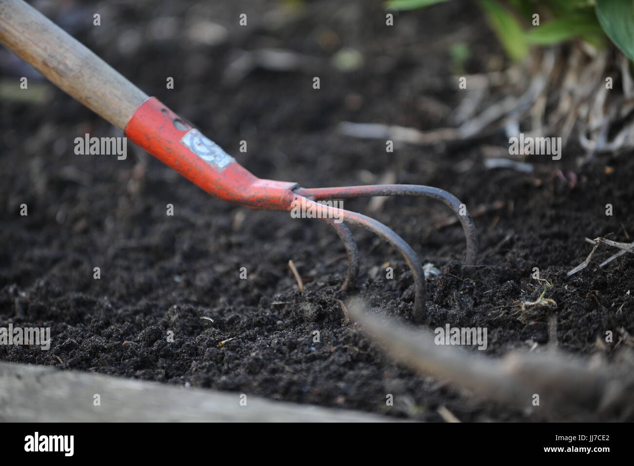 Gardening raking soil hi-res stock photography and images - Alamy