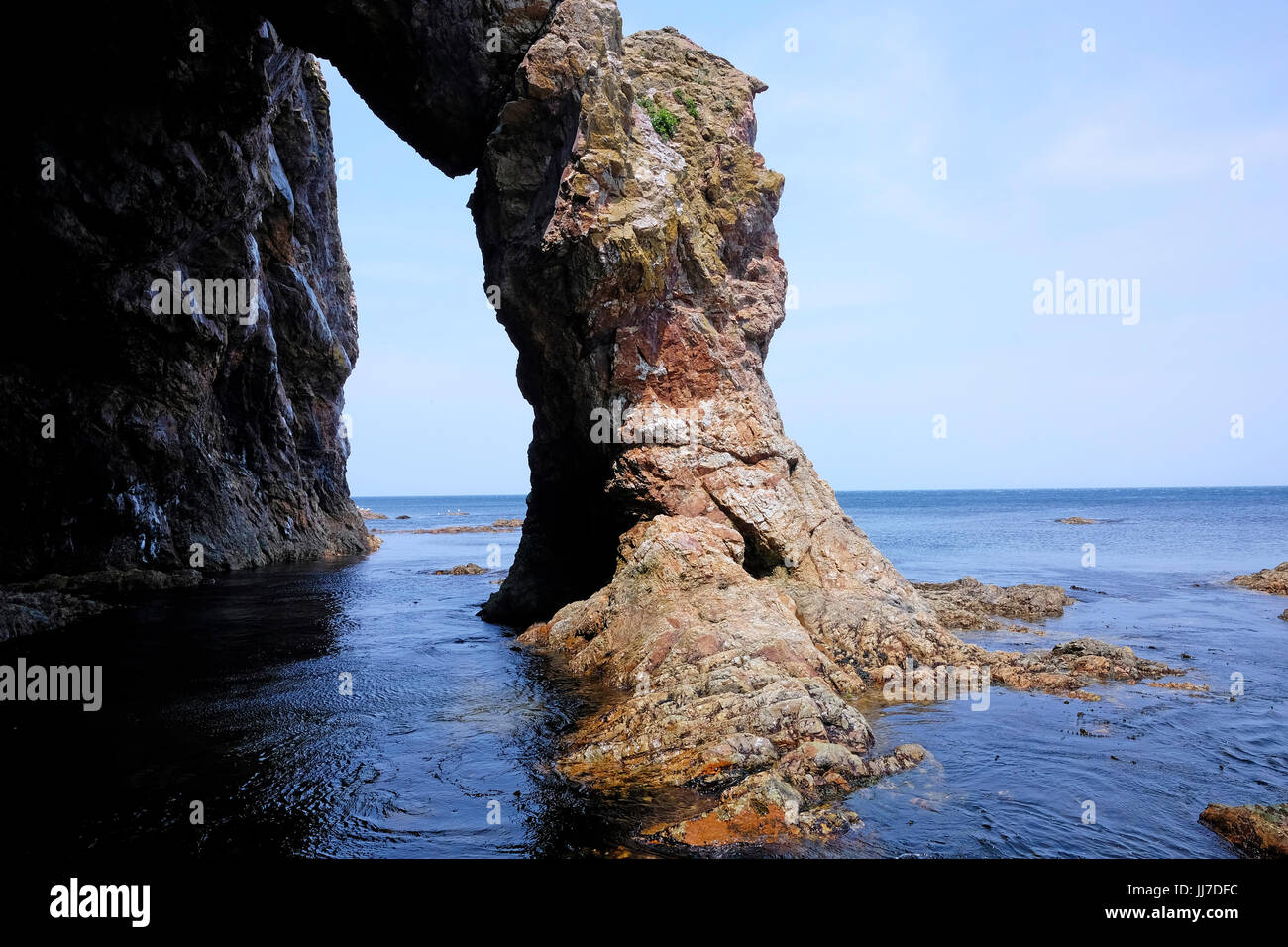 Velican hi-res stock photography and images - Alamy