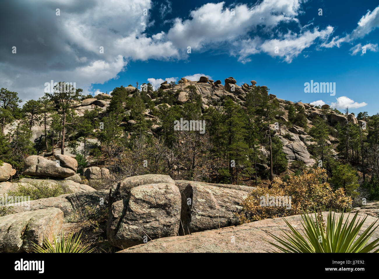 Mount lemmon hi-res stock photography and images - Alamy