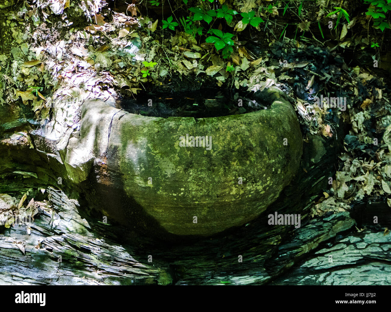 Odd carved basin Stock Photo - Alamy