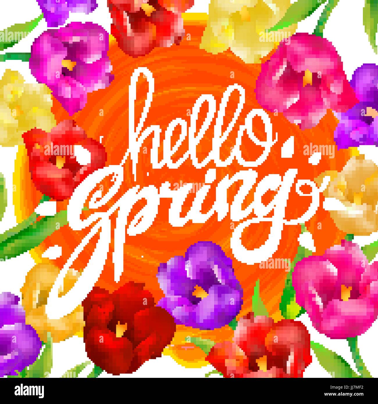 Hello spring colotful tulips flowers white background with lettering ...