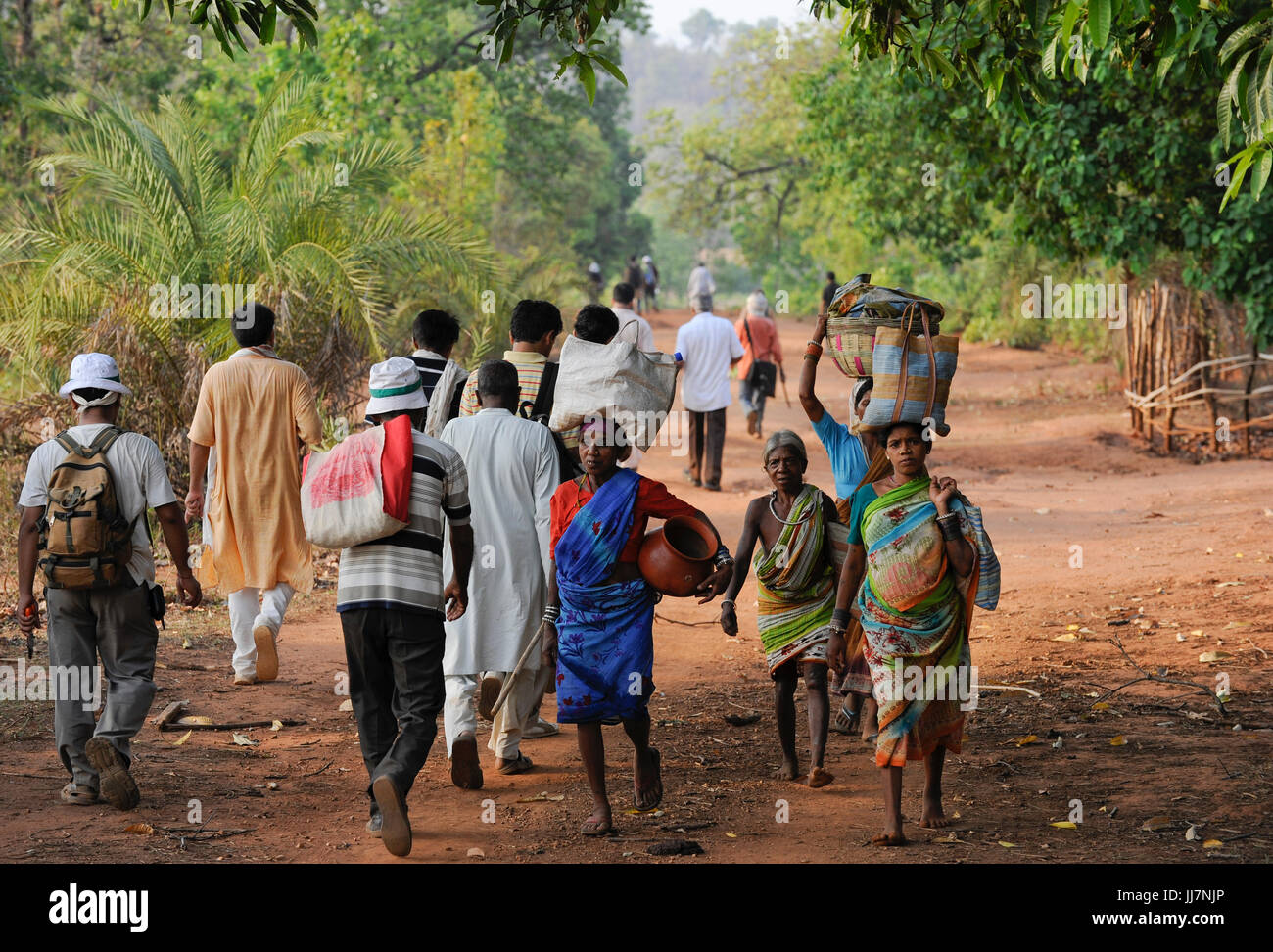 Gond tribe High Resolution Stock Photography and Images - Alamy