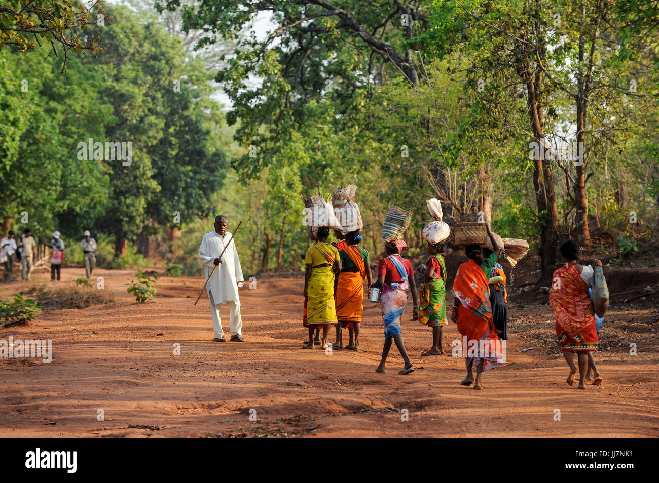 Gond tribe High Resolution Stock Photography and Images - Alamy