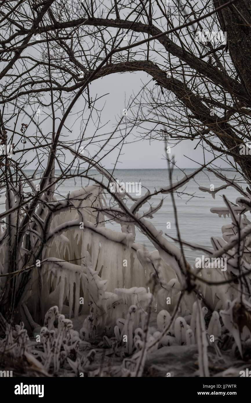 Ice trees hi-res stock photography and images - Alamy