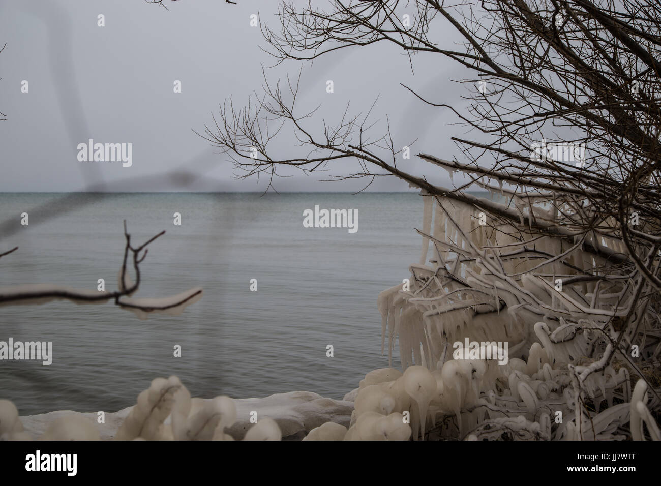 Ice trees hi-res stock photography and images - Alamy