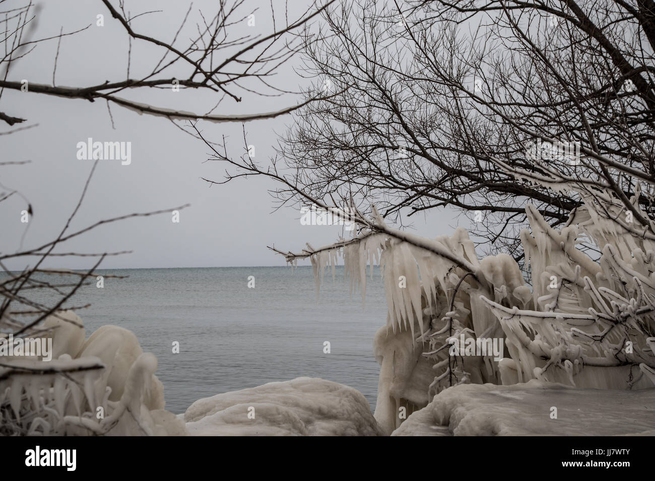 Ice trees hi-res stock photography and images - Alamy