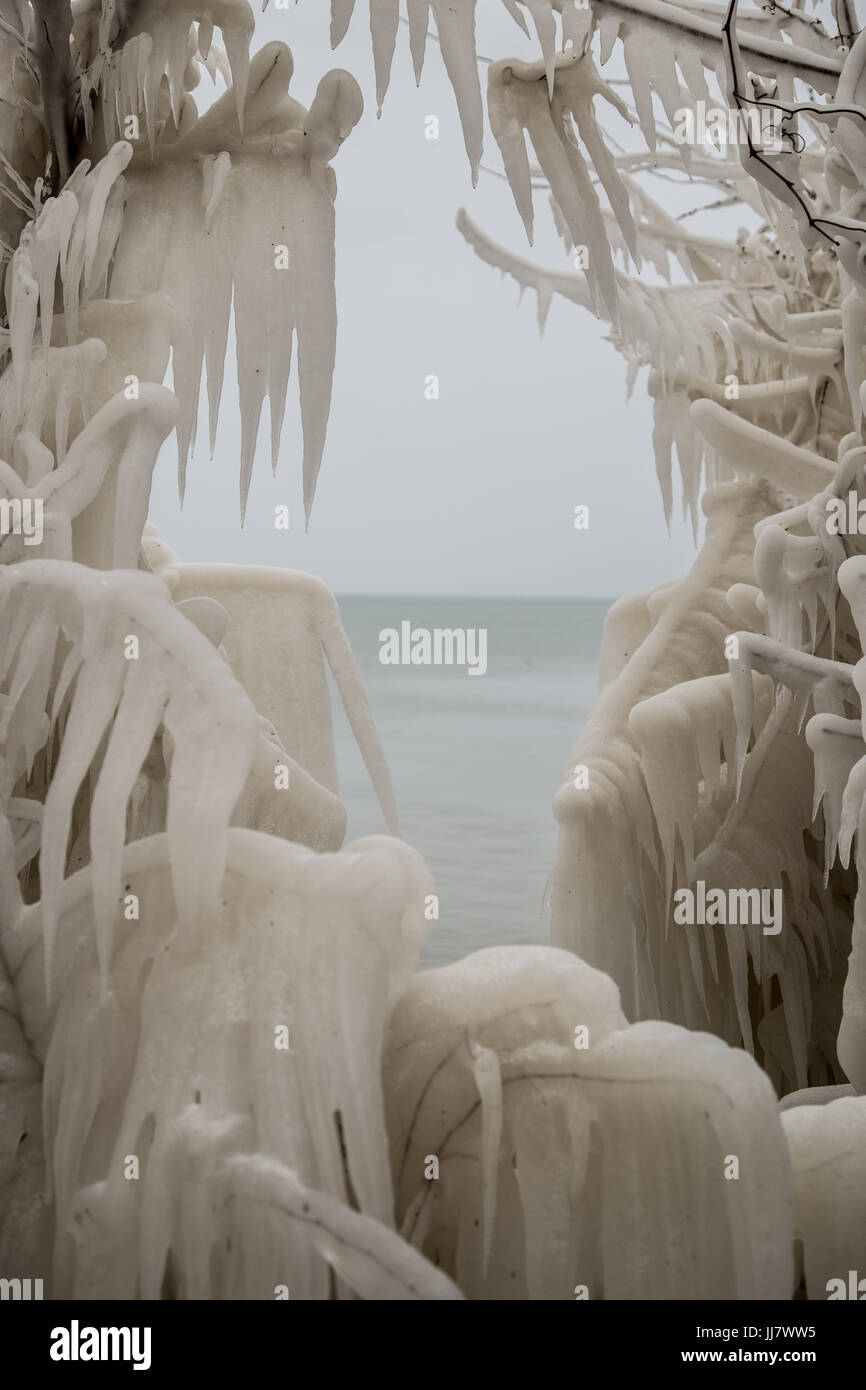 Ice trees hi-res stock photography and images - Alamy