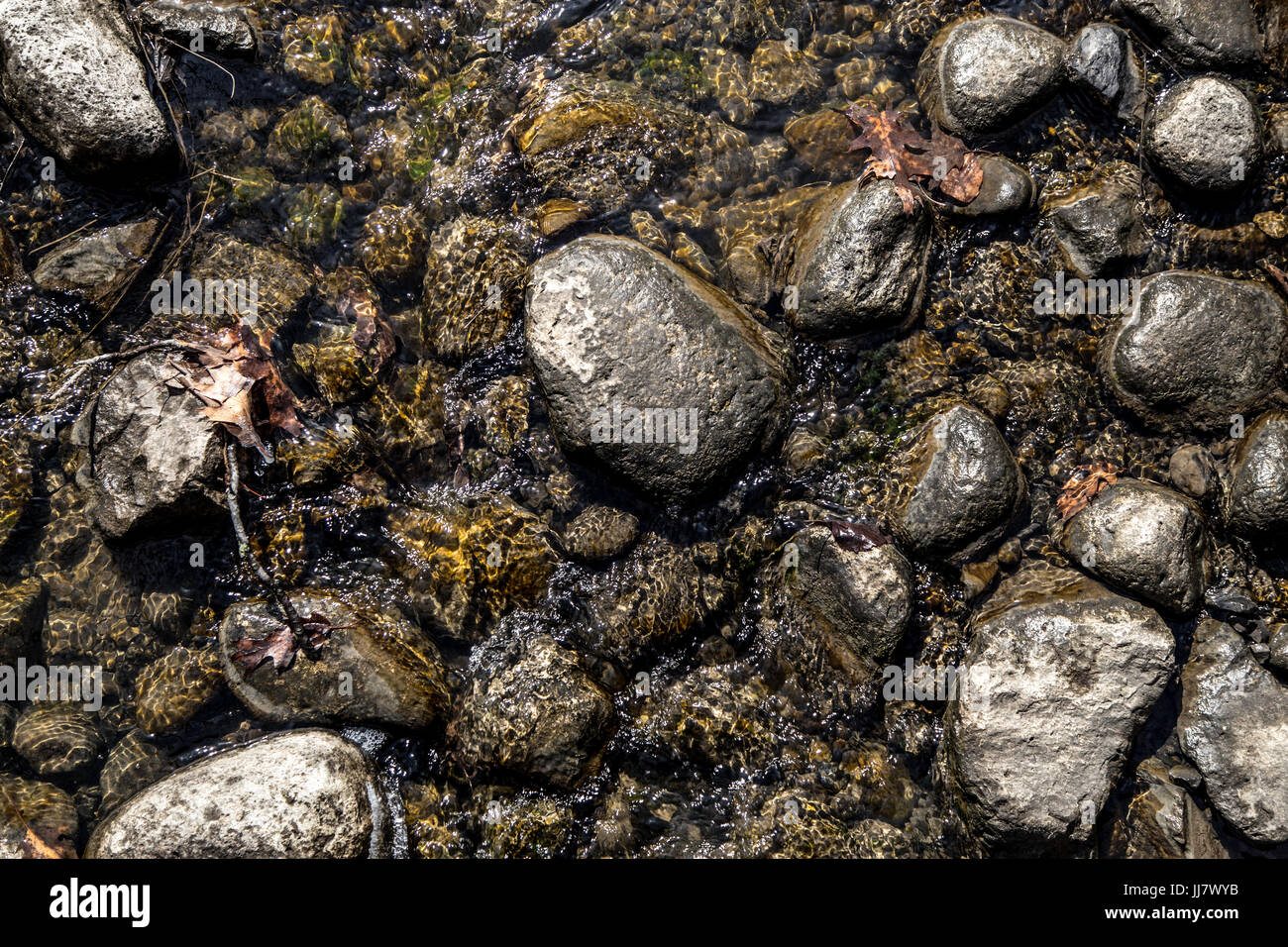 Wet River Stones Stock Photo - Alamy