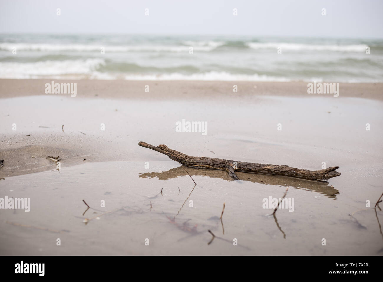 Washed up log hi-res stock photography and images - Alamy