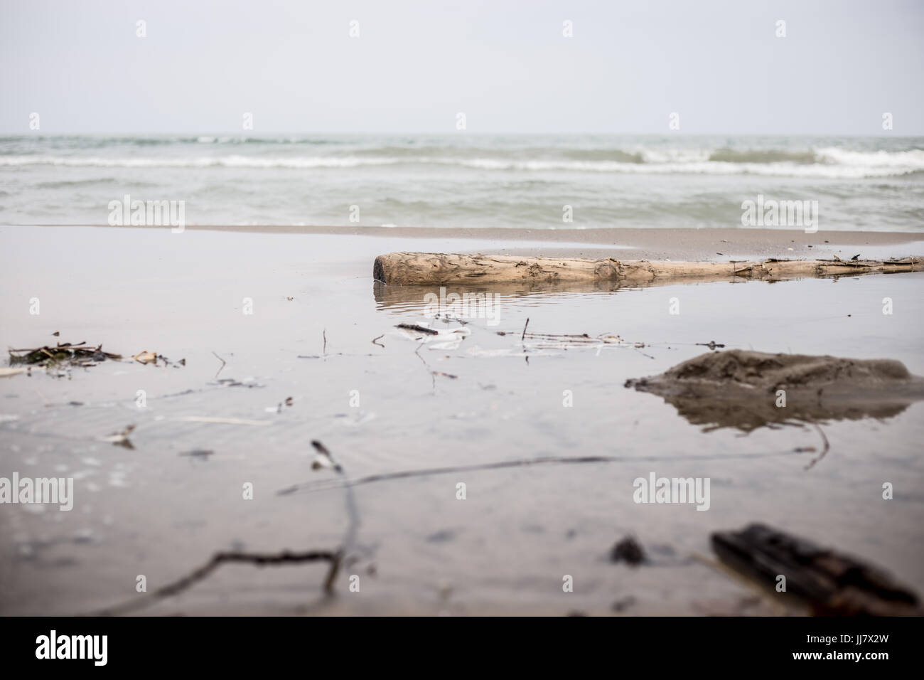 Washed up log hi-res stock photography and images - Alamy
