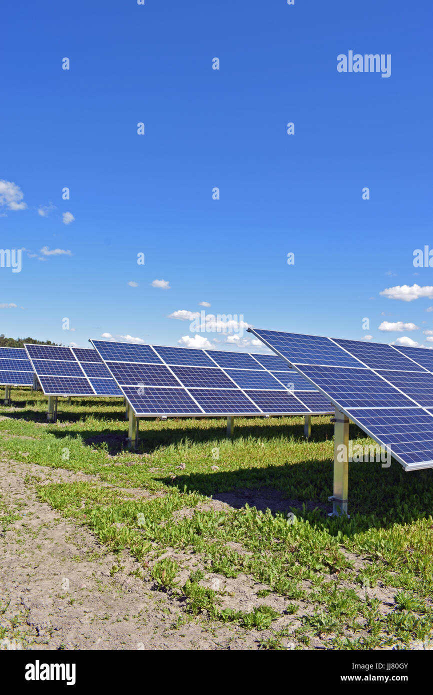 Vertical environmental issues green sustainable development hi-res ...