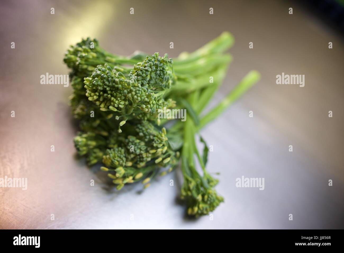 Bimi vegetable on a metal surface Stock Photo - Alamy