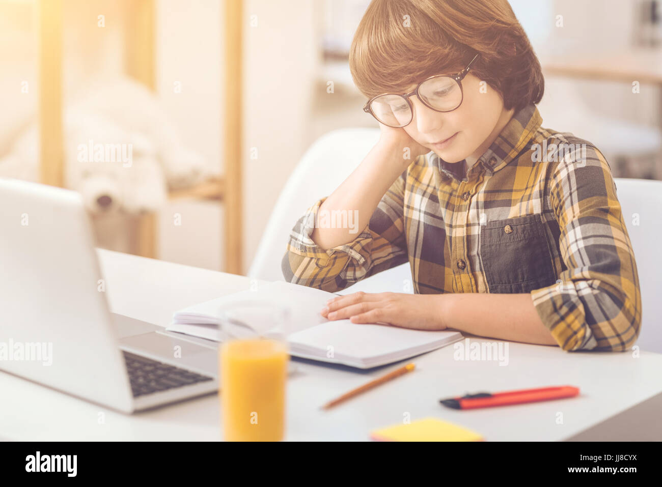 Hard working intelligent boy doing his homework Stock Photo - Alamy
