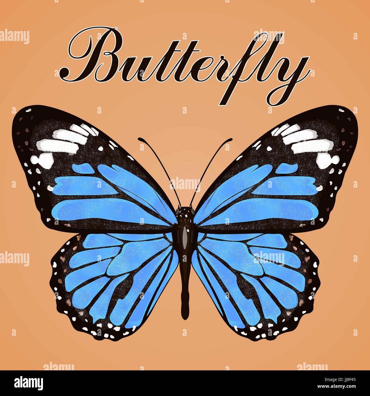 Butterfly with blue wings and space for text, view from above, isolated ...