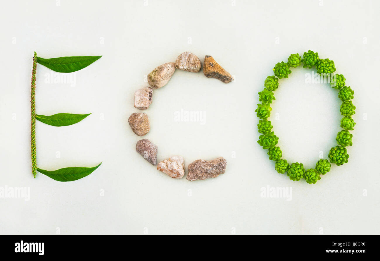 word eco made of plants and stones on white hand-made paper Stock Photo ...