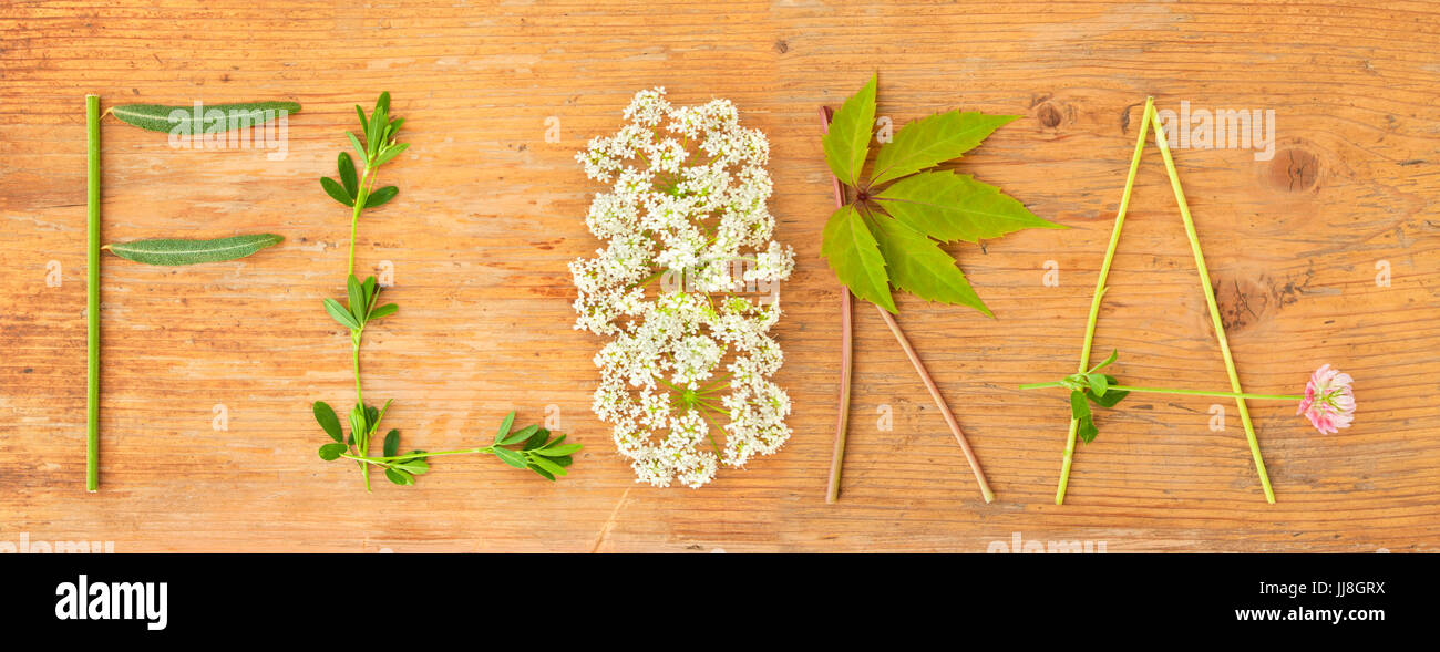word flora made of leaves, twigs and flowers on wooden background Stock ...