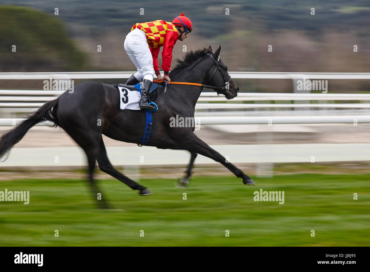 Horse race training. Competition sport. Hippodrome. Speed background ...