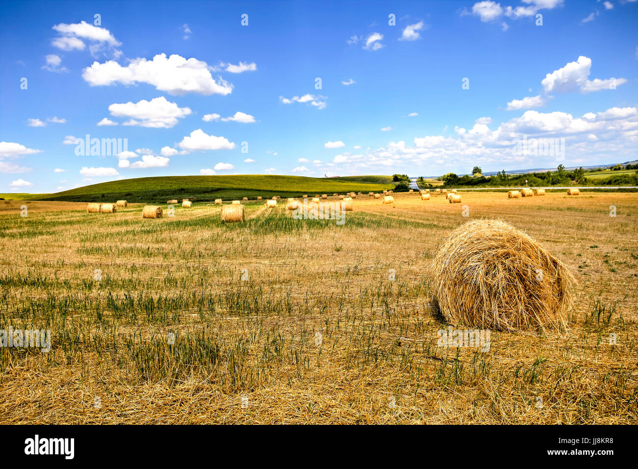 Round haystacks on the field after the harvest, Romania Stock Photo - Alamy