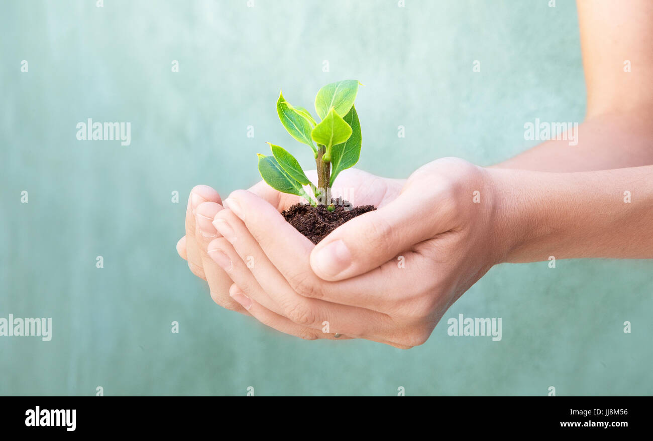 People nature plants care hi-res stock photography and images - Alamy