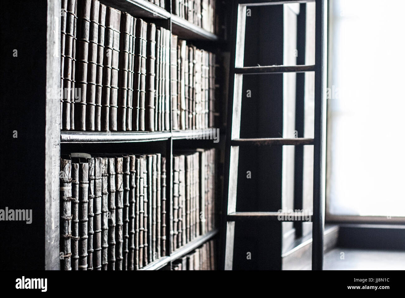 Sliding ladder in the long room library in Trinity College, Dublin ...