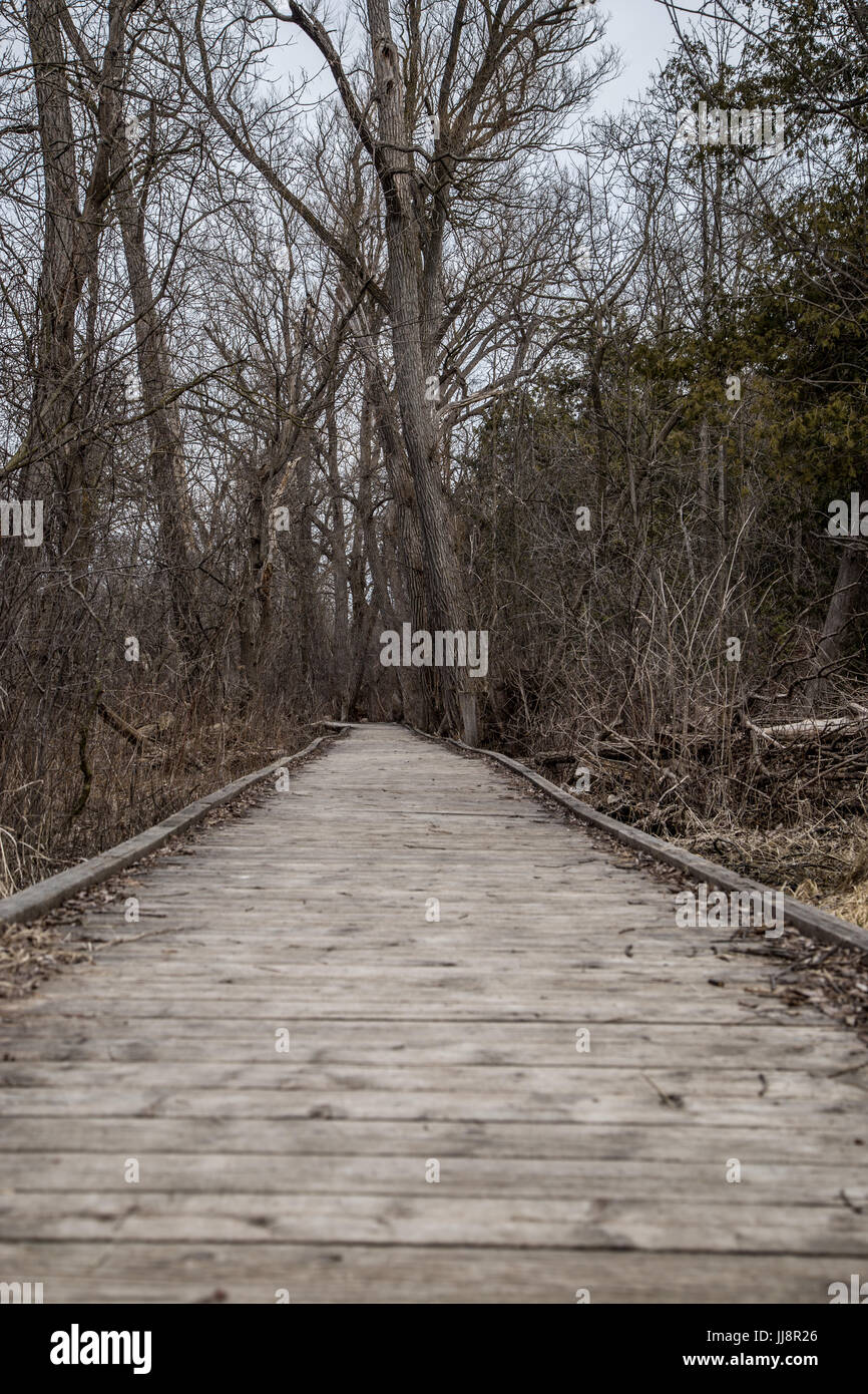 Wooden Foot Path - Woods Stock Photo - Alamy