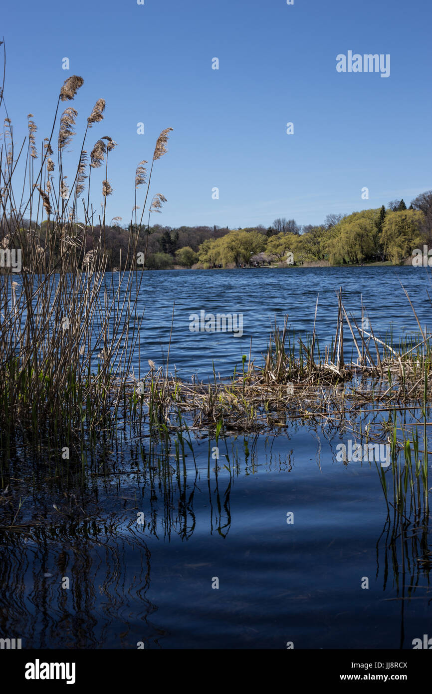 Grenadier pond hi-res stock photography and images - Alamy