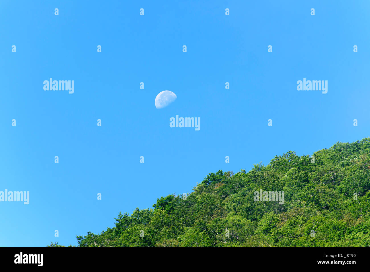 Clear blue sky and has half moon in daytime Stock Photo - Alamy