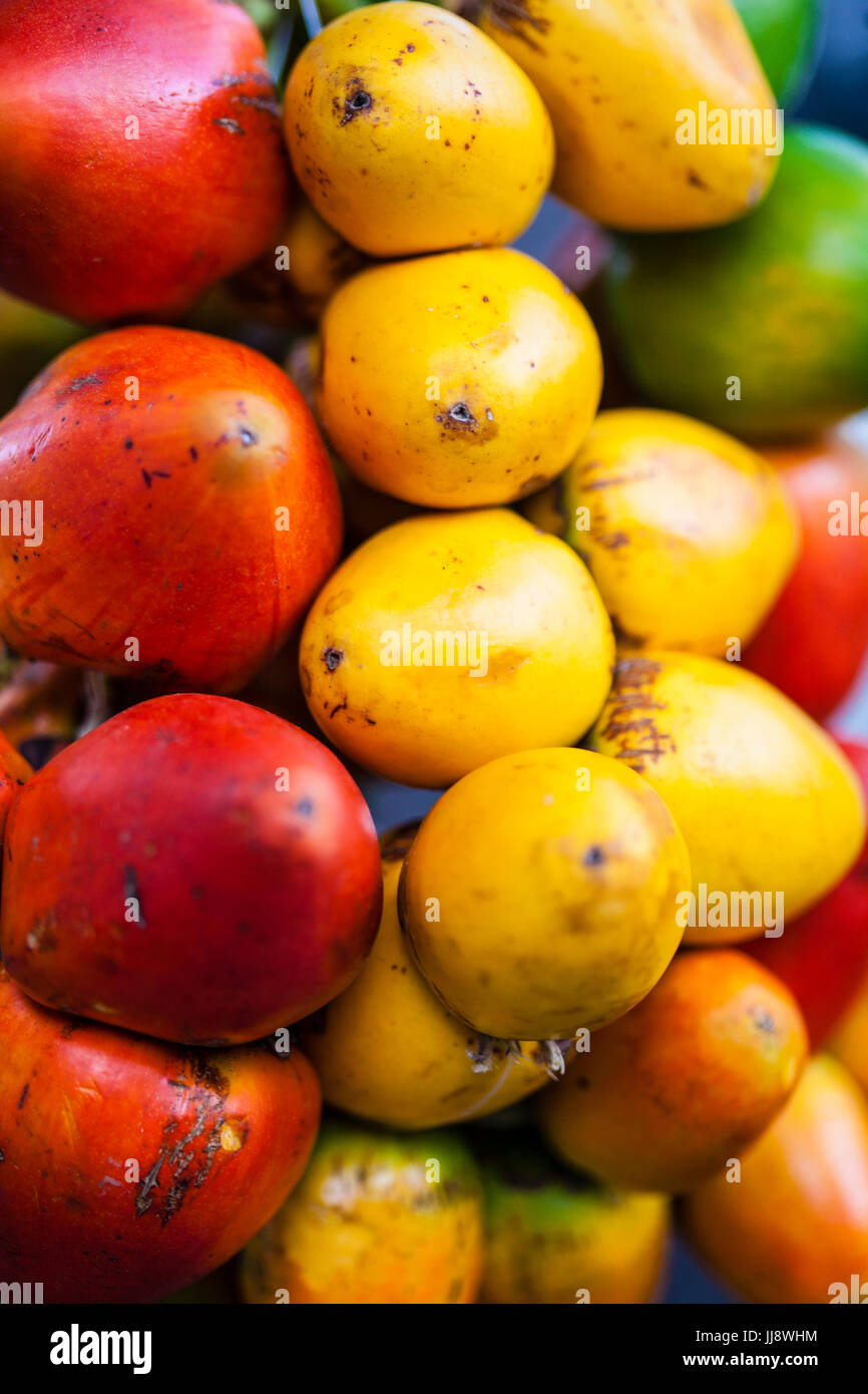 Exotic tropical fruit called chontaduro (Bactris gasipaes Stock Photo ...