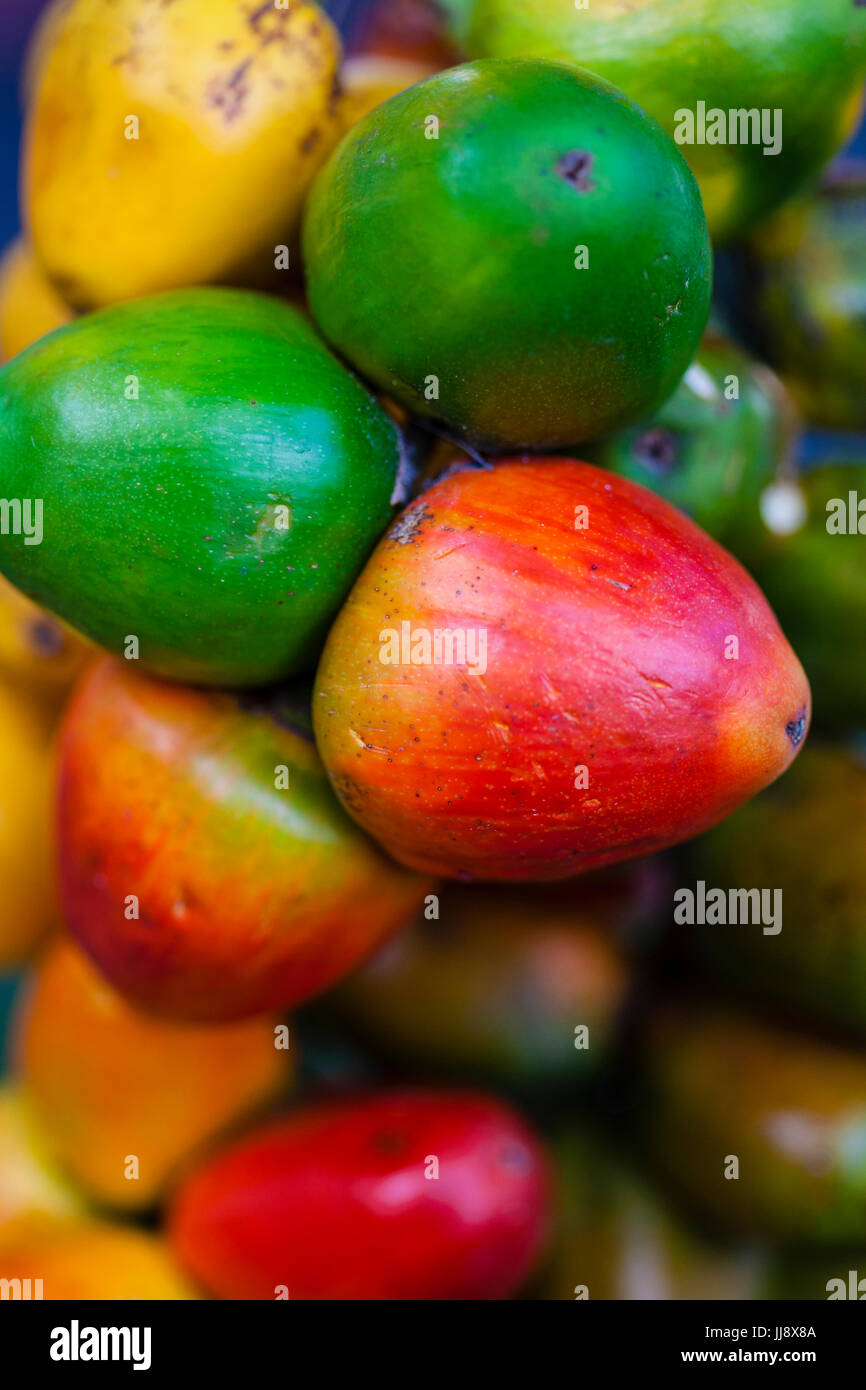 Exotic tropical fruit called chontaduro (Bactris gasipaes Stock Photo ...
