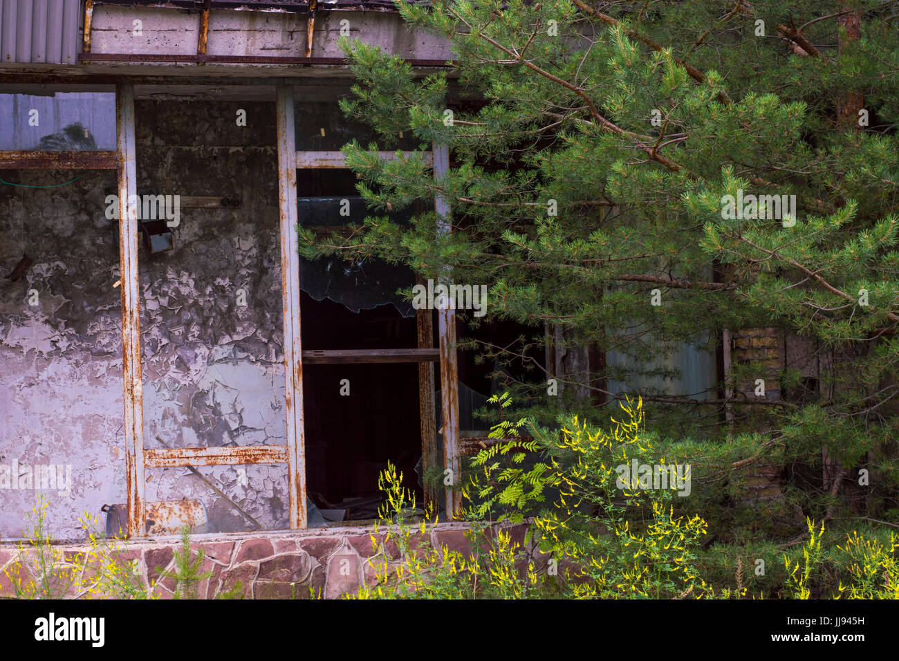 Abandoned Scene of Pripyat Ghost Town in Chernobyl Exclusion Zone Stock ...