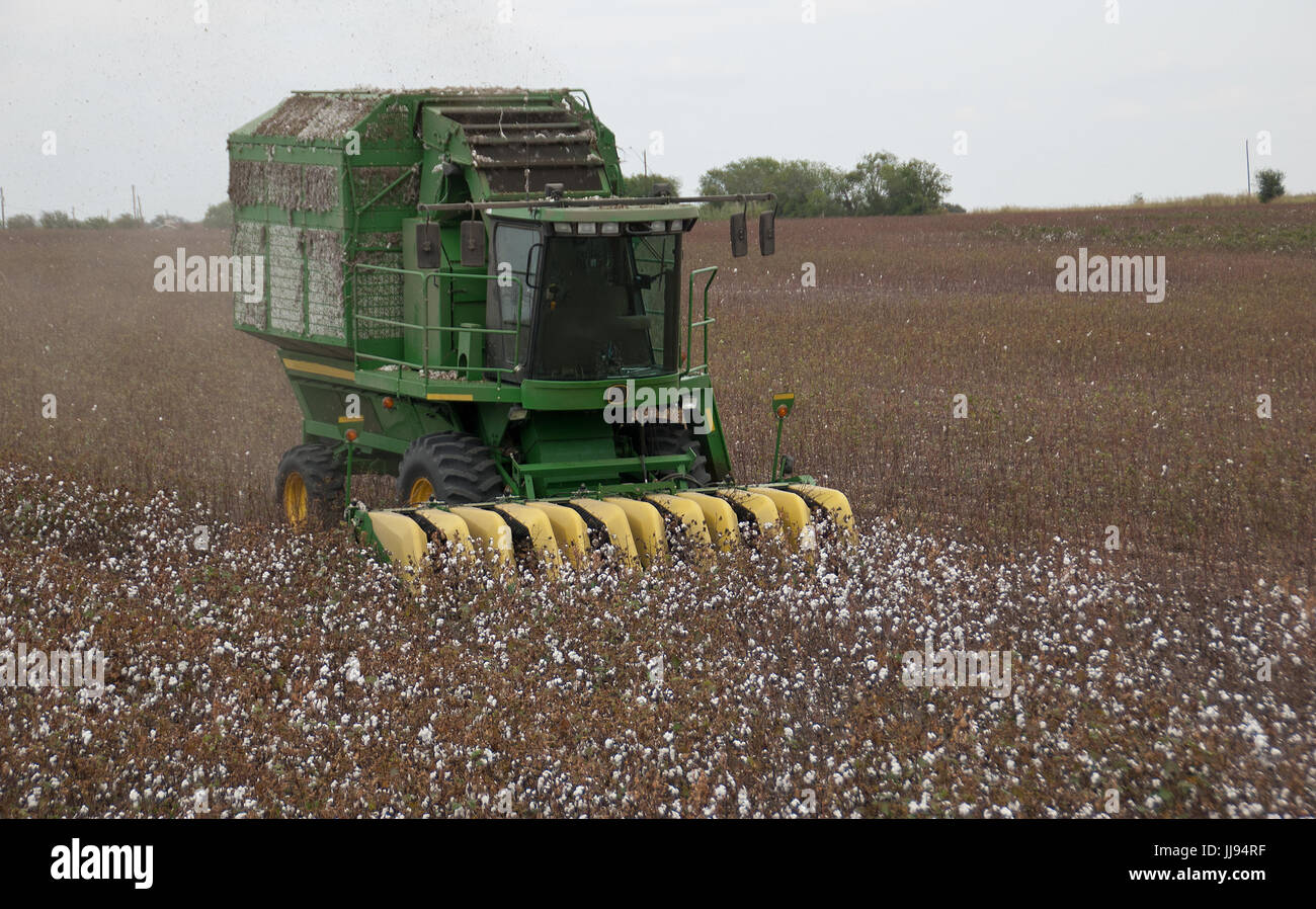 Cotton stripper hi-res stock photography and images - Alamy