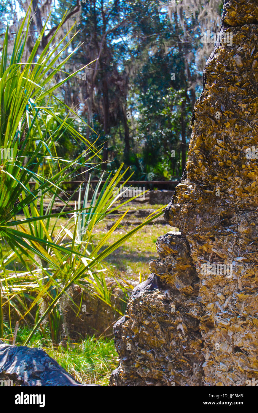 Tabby concrete hi-res stock photography and images - Alamy