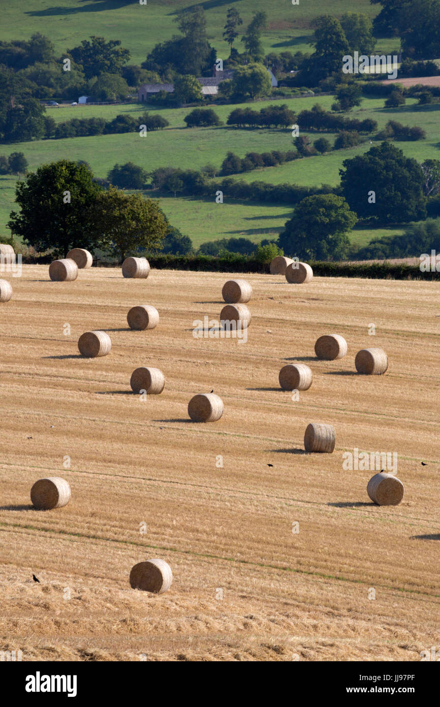 Cotswold round hi-res stock photography and images - Alamy