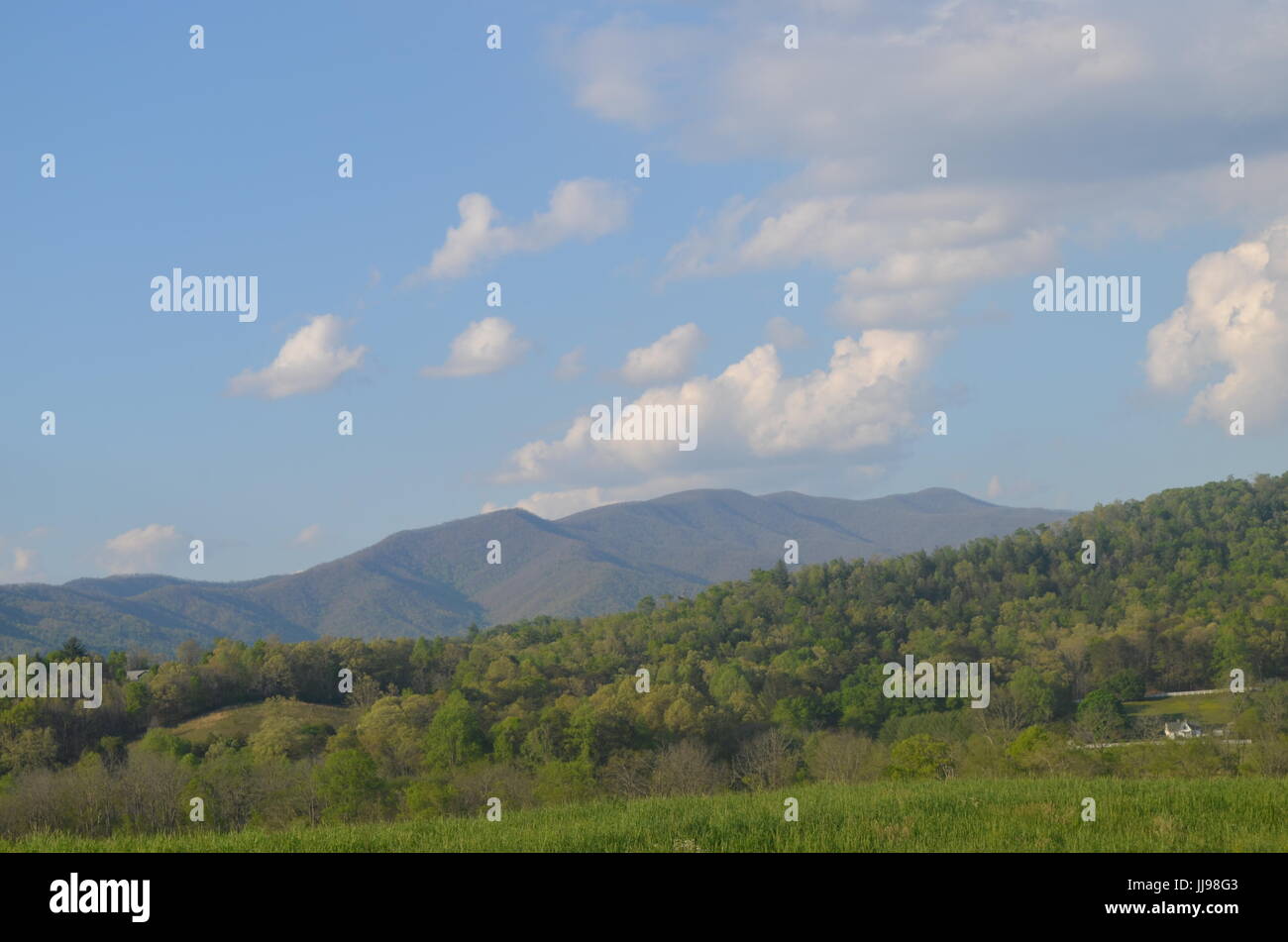 Hayesville hi-res stock photography and images - Alamy